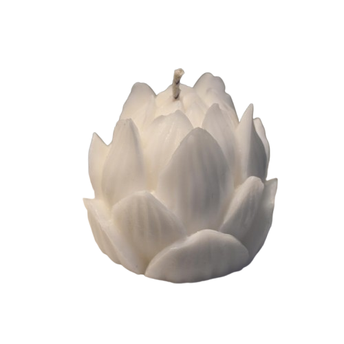 Vela Loto – LOYAL CANDLES